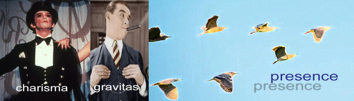 Charisma? Gravitas? Or ‘Presence’? – jillberry102